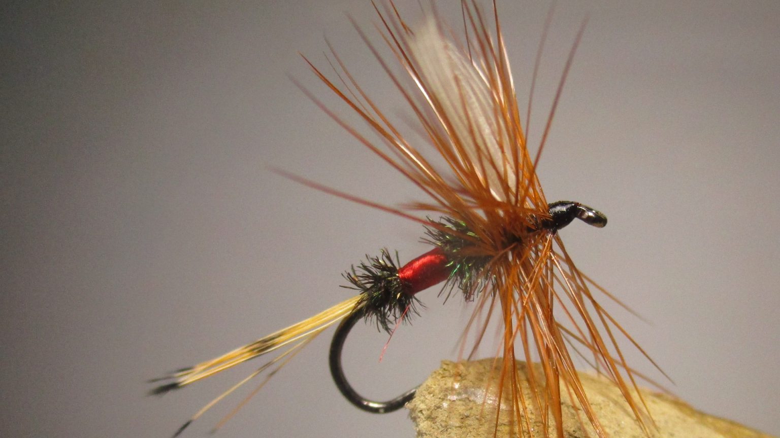 The Royal Coachman – THE most iconic American dry fly – Savage Flies